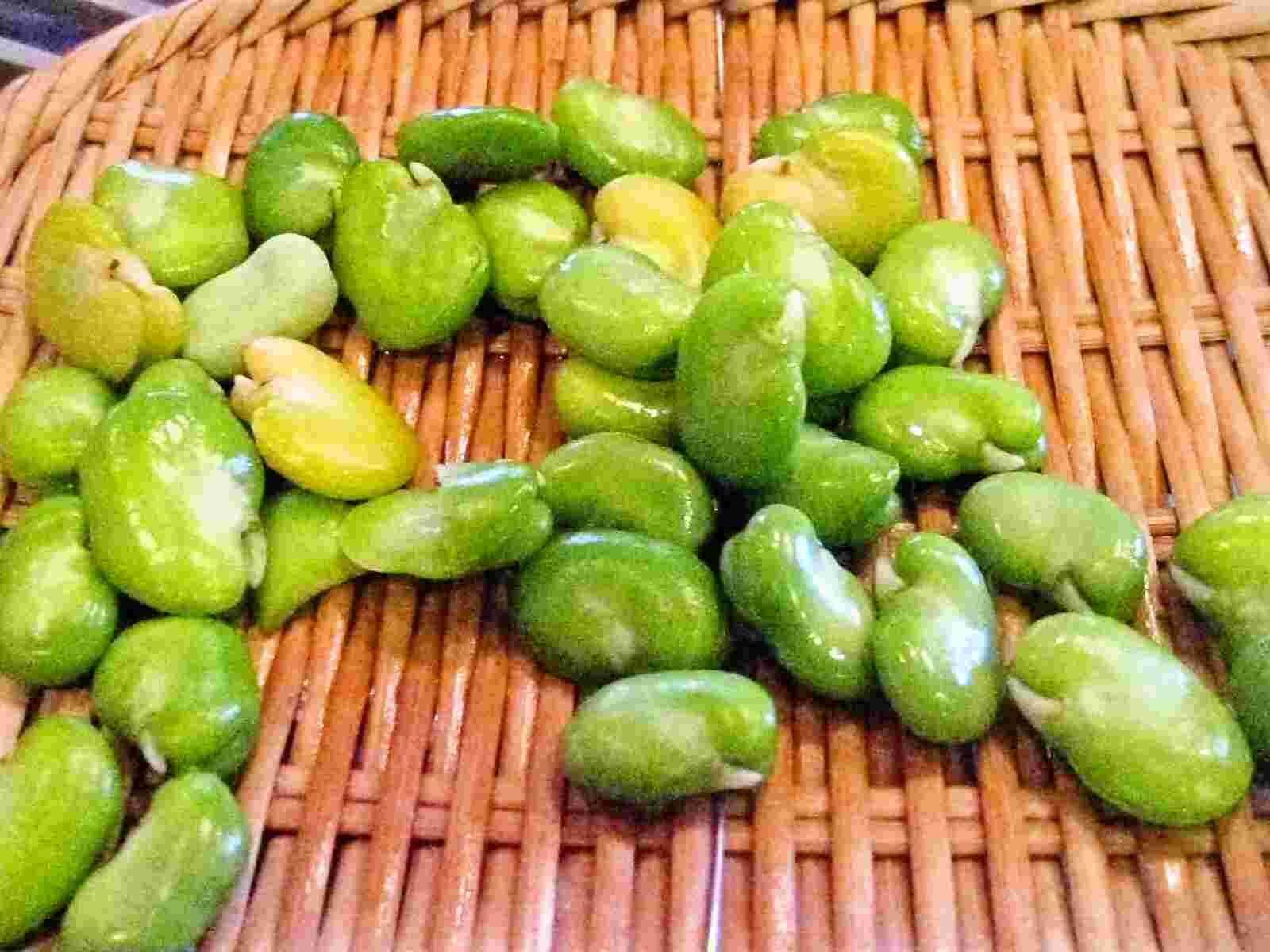 Recipes for Tom: Soramame to ebi no kakiage / mixed tempura with fava ...