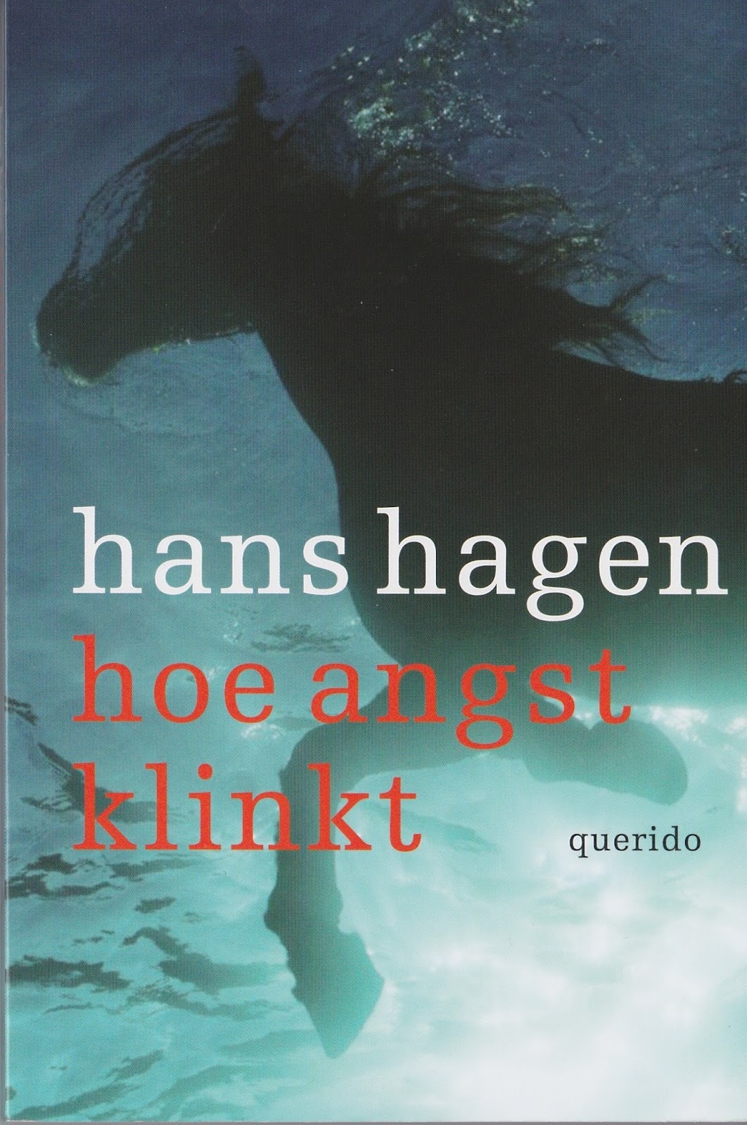 Fictieblog HAN Groep D1b 2015-2016: Recensie hoe angst klinkt, Hans Hagen