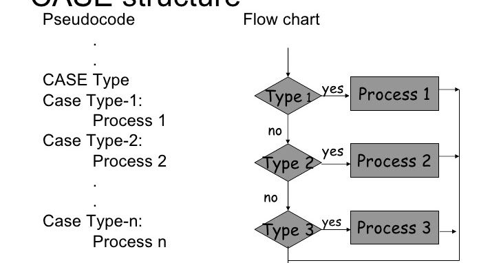 Structure of Pseudocodes ~ Baney Portfolio
