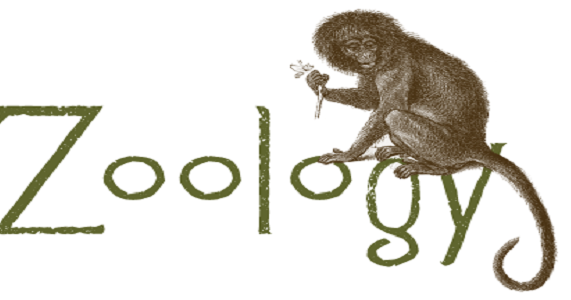 Zoologi dan Bagian-Bagiannya - READ THIS