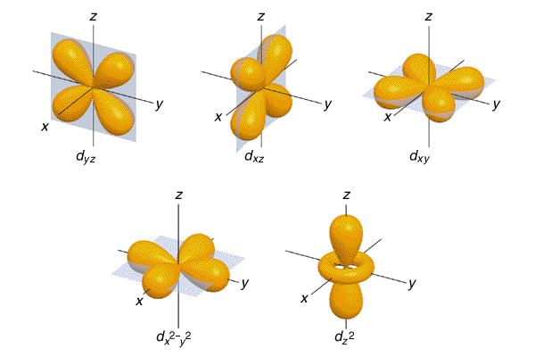 Sharp, Principal, Diffuse dan Fundamental