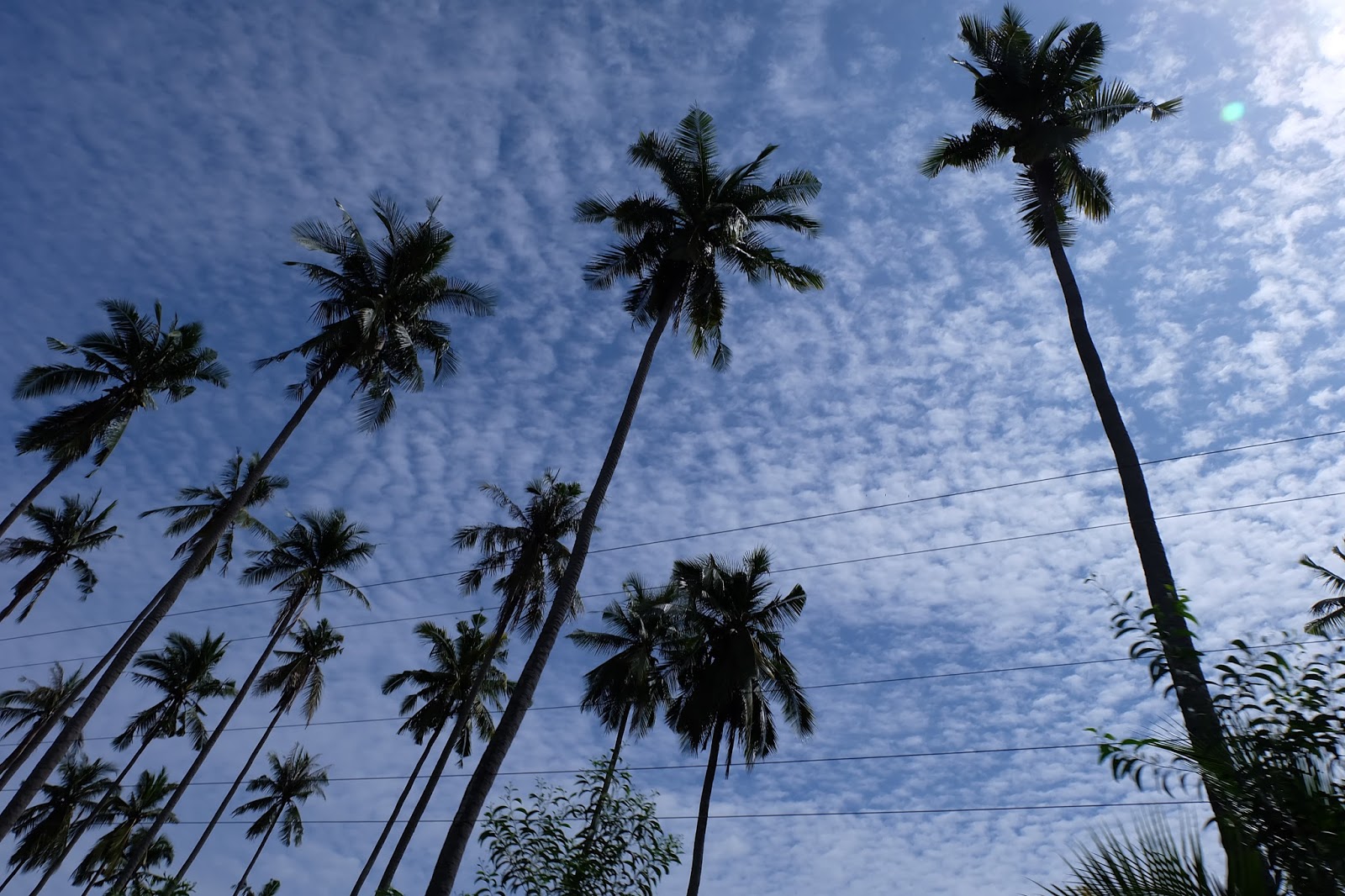 Lost Soul In Mati Davao Oriental - From The Highest Peak to The Deepest Sea