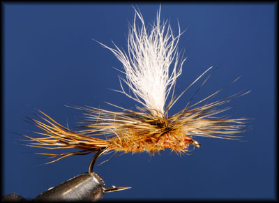 Troutbugs: Runoff Fly Tournament: Round 1