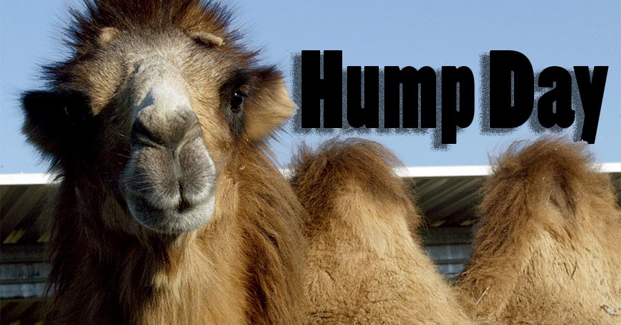 The Origin of Hump Day |TRUMP LAND