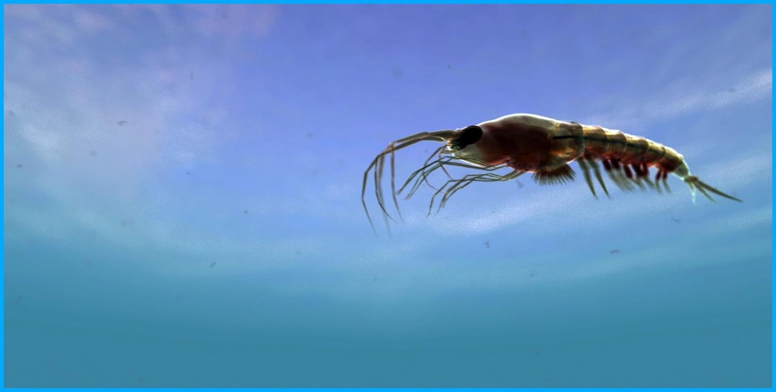 9 Mukis Kitchen - ZGR4 CHESTER RIVERA'S BLOG