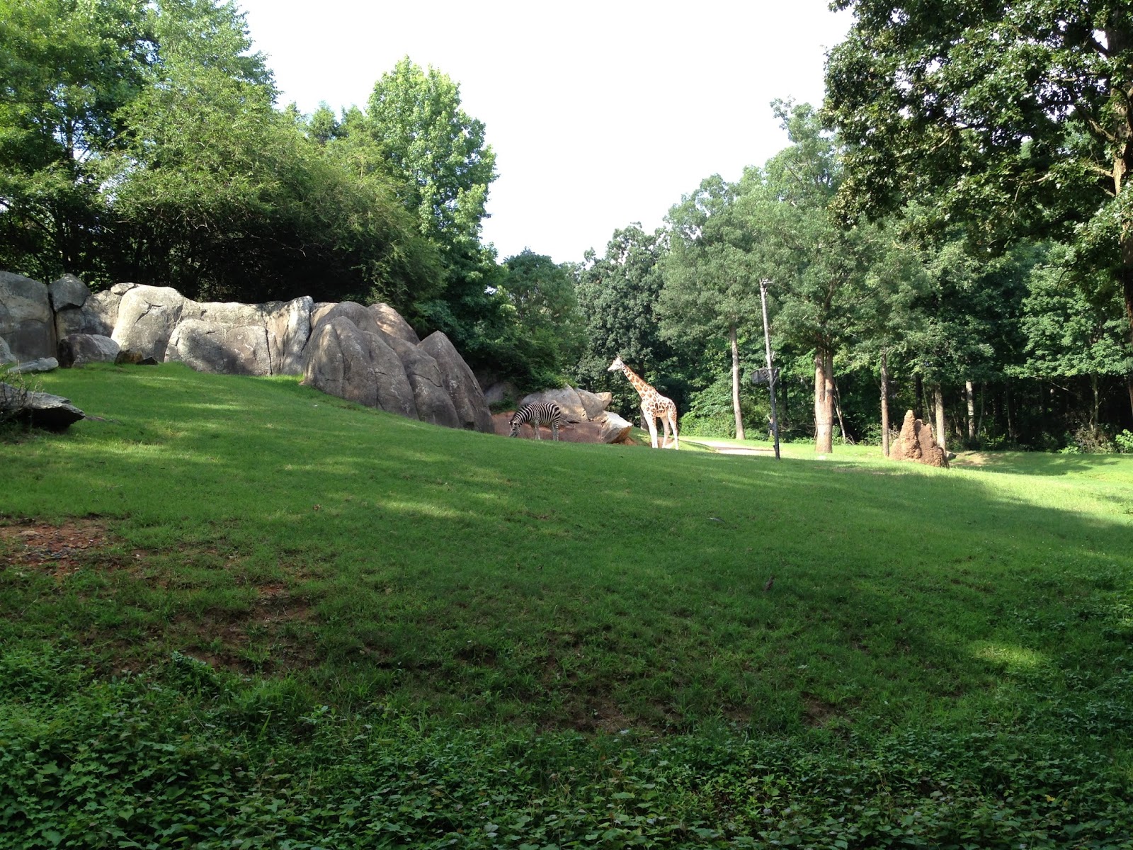 LivelyRV: North Carolina Zoo Visit