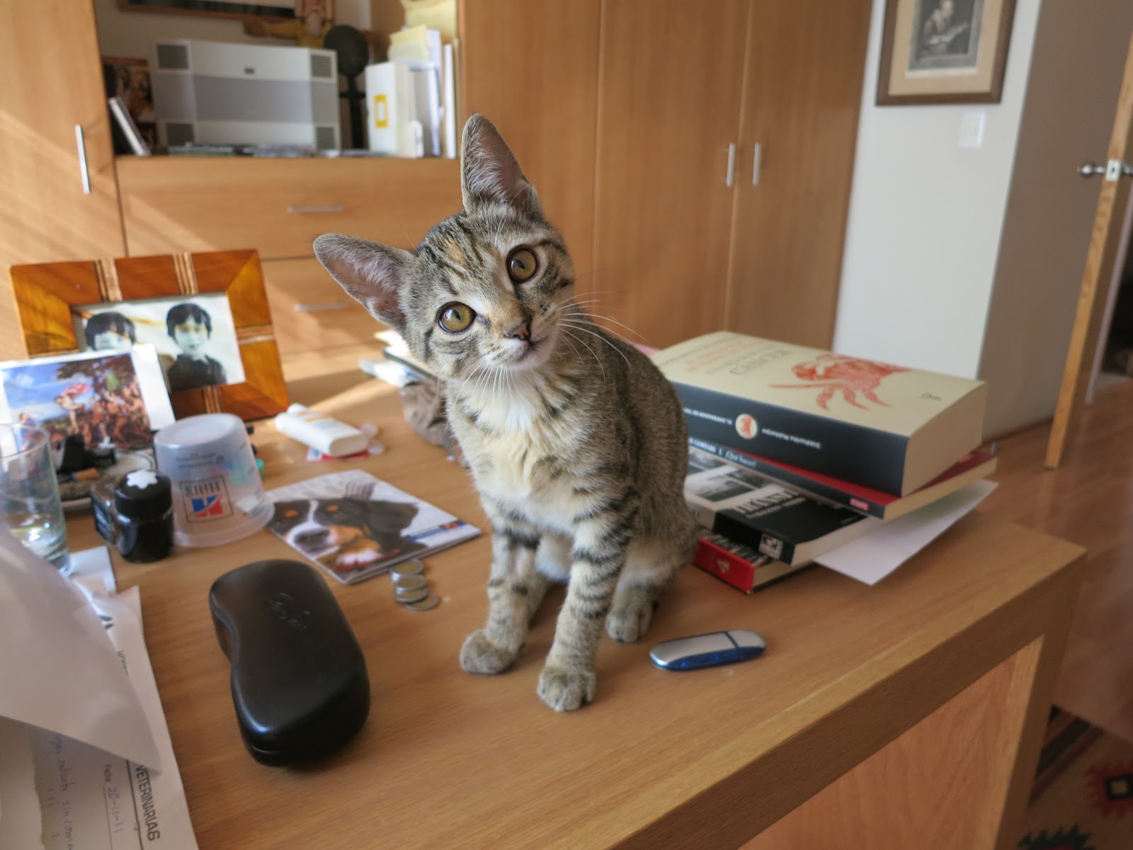 Siglo en la brisa: Un año de Yamita Monogatari