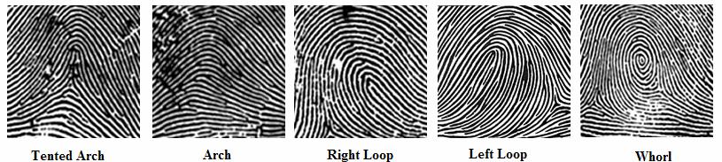 ~Cap Jari Yang Berkaitan Dengan Al-quran~