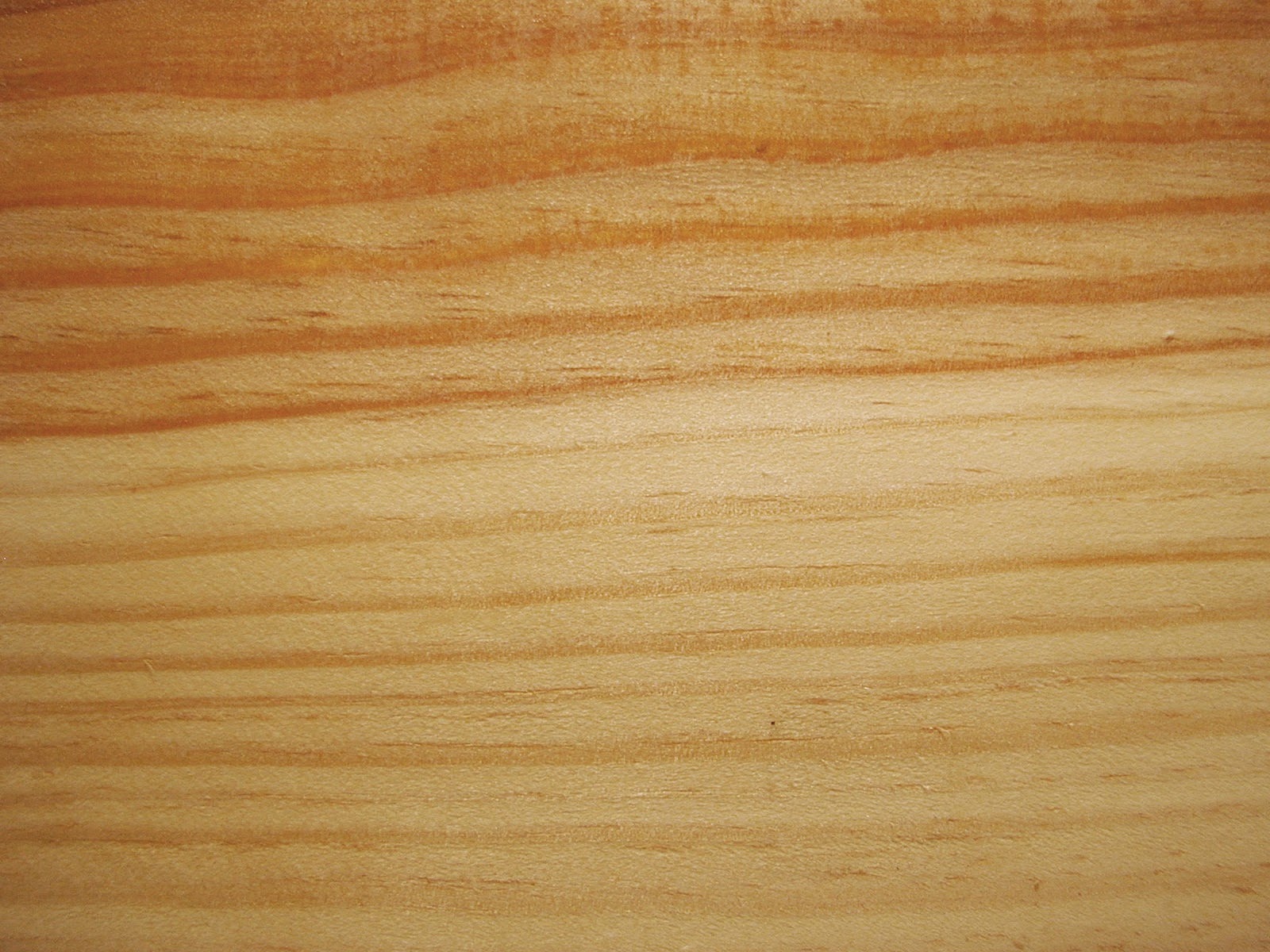 Granvale: O TAL DO MÓVEL EM MADEIRA.