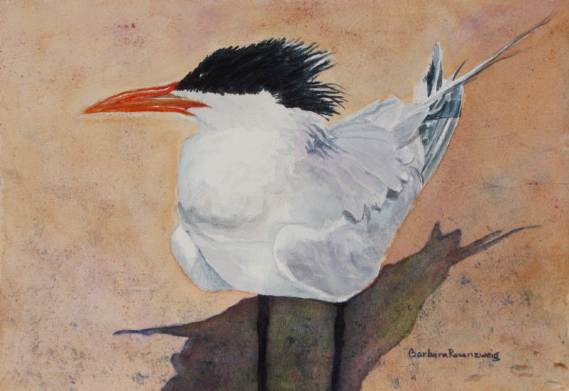 Artist Barbara Rosenzweig's Blog: Art, Gardening, Photography, and ...