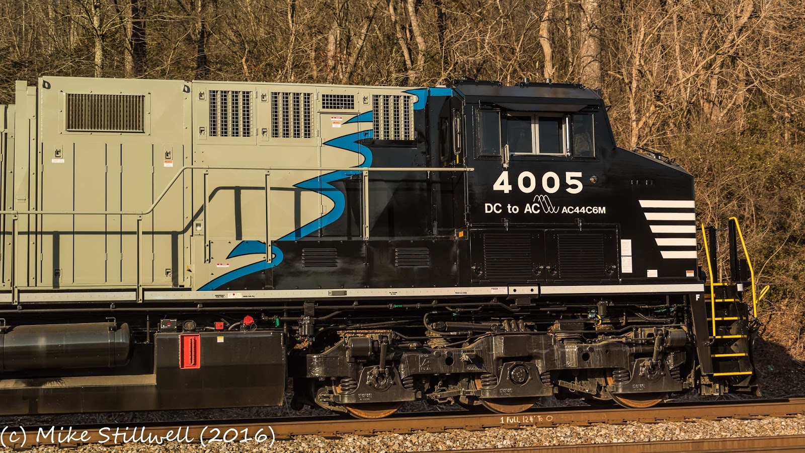 Walking On Empty: Red Mane Blue Mane