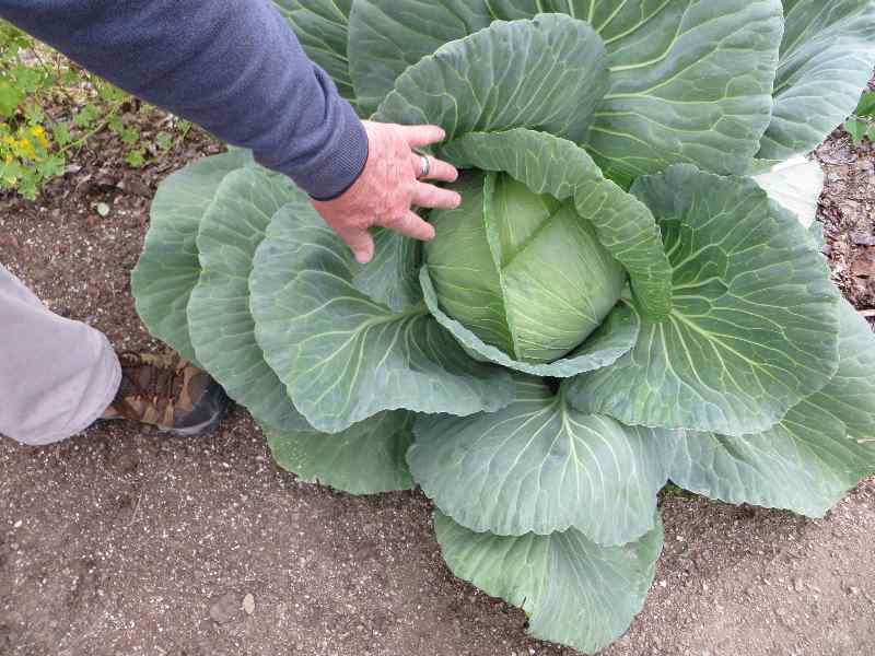 Alaska 2013: Alaska Day 72 - 73 Fairbanks to Chena Hot Springs