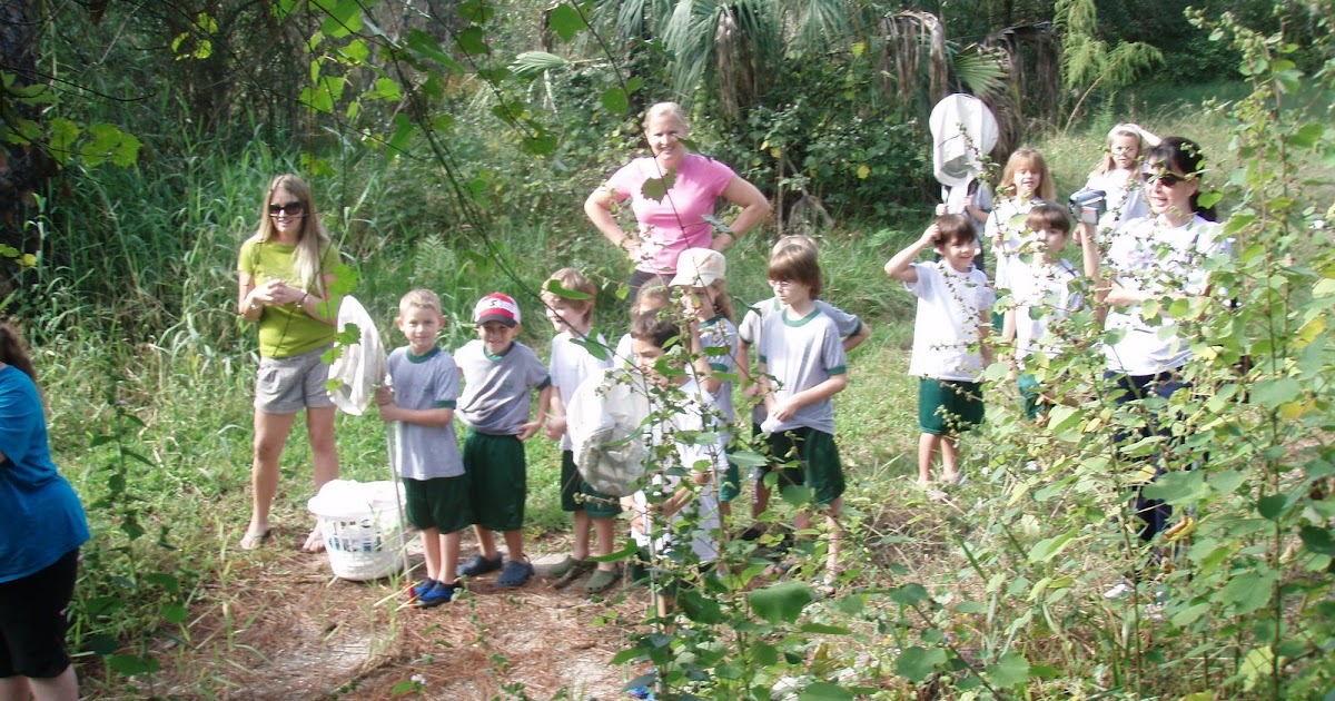 Camp Bayou Nature Notes: Camp Bayou Celebrates 20 Years in Nature