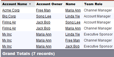 SimplySfdc.com: Salesforce: Account Team Report