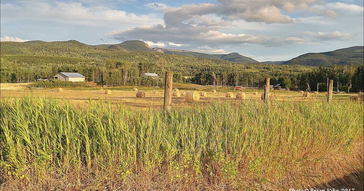 Northern Interior British Columbia: Evening Hay Field Houston British ...
