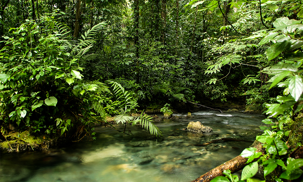 15 Maravillosos Escenarios Naturales en México