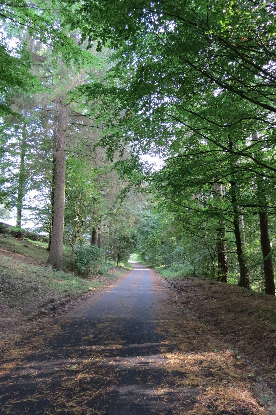 Howden Moors - Howden Dean, Back Tor and Lost Lad ~ Occasionally Lost