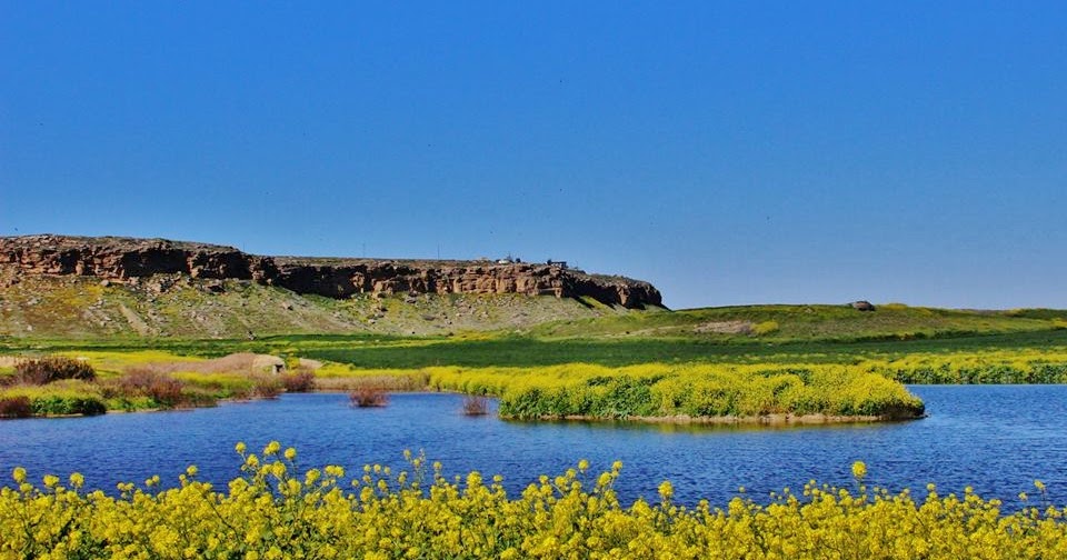 Biodiversity of Cyprus by NGO Protection of the Natural Heritage and ...