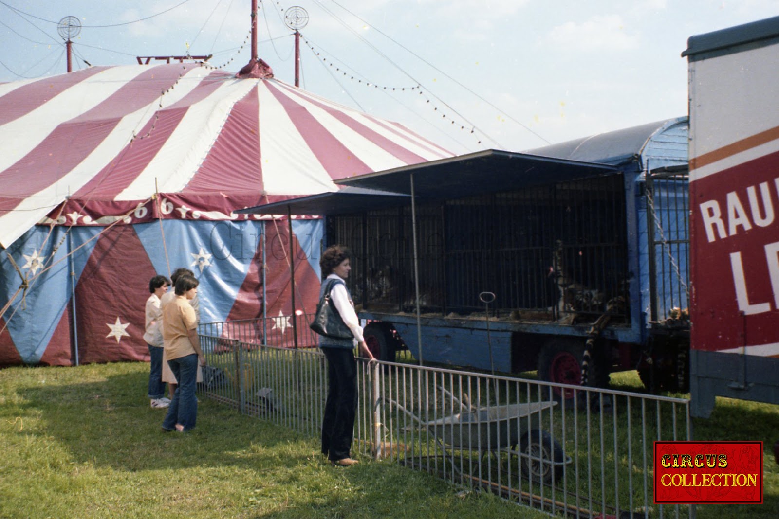 Circus -Collection: Zirkus Stey 1980 (Gränichen Argovie)