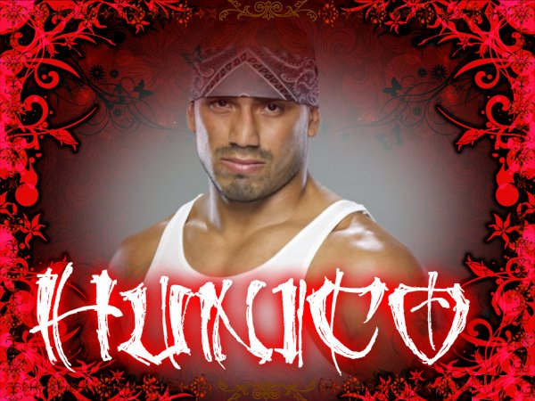 WWE HD Wallpaper Free: Hunico Hd Wallpapers Free Download