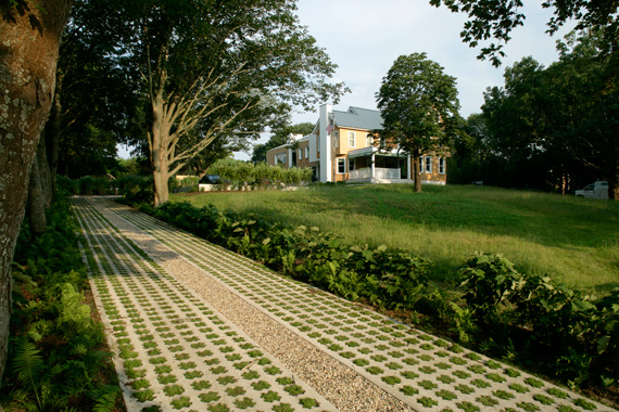 Permaculture: Green Driveways