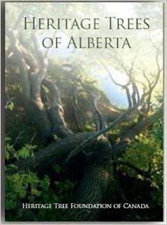 West of the 5th : Heritage Trees - Living Links to our History