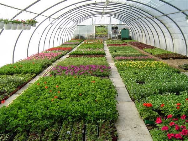 WHAT IS HORTICULTURE. Horticulture Development