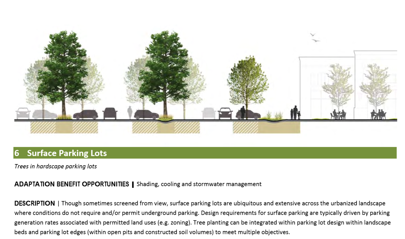 The South Fraser Blog: A healthy urban forest is one of the keys to ...