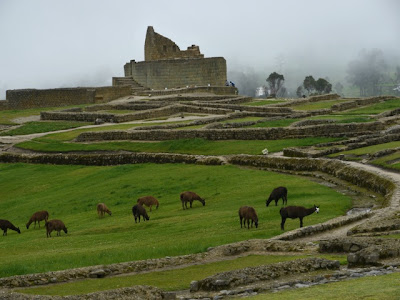 The Adventure Begins: Inca Ruins of Ingapirca