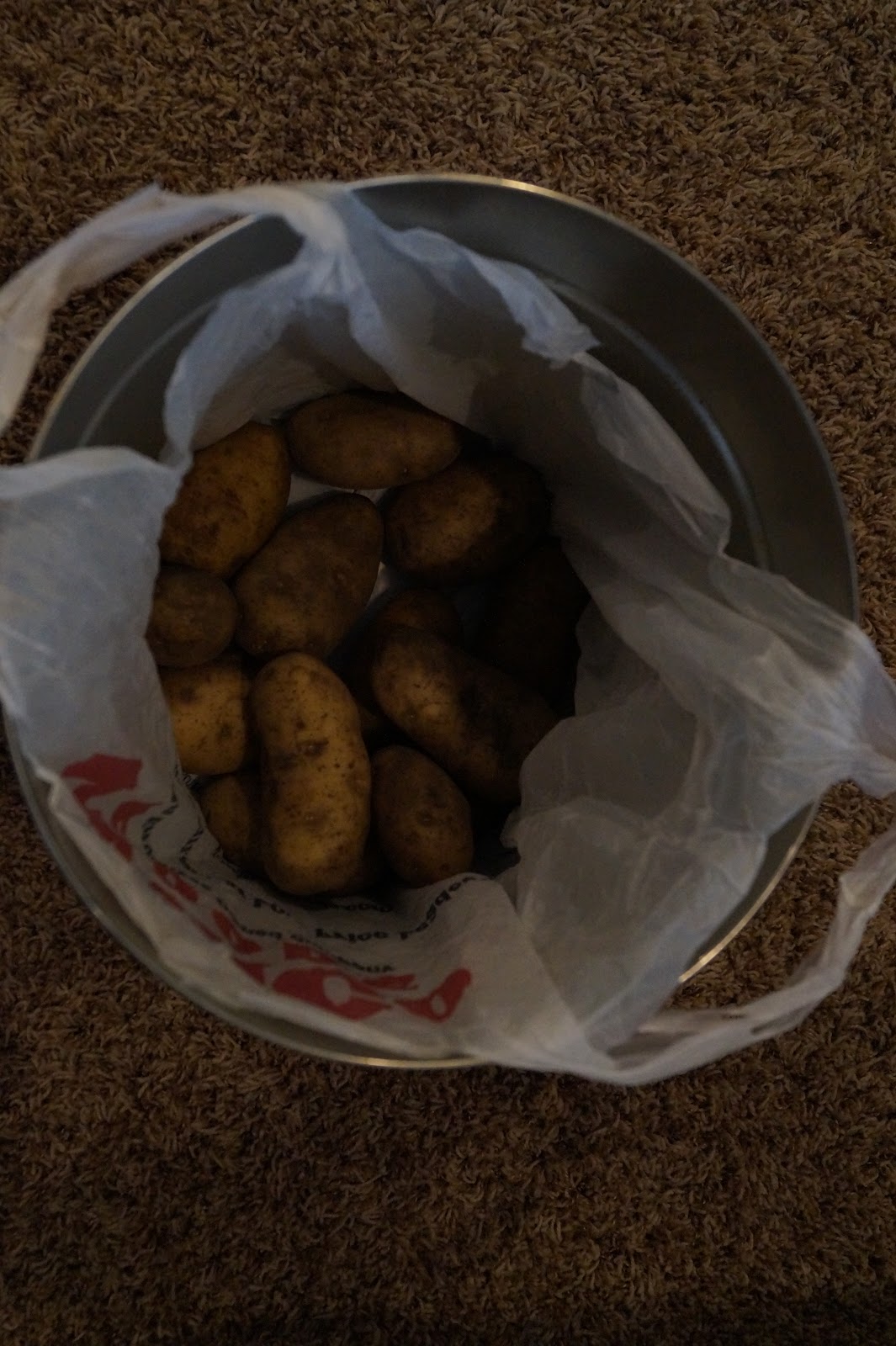 Must Run in the Family: Poop the Potato