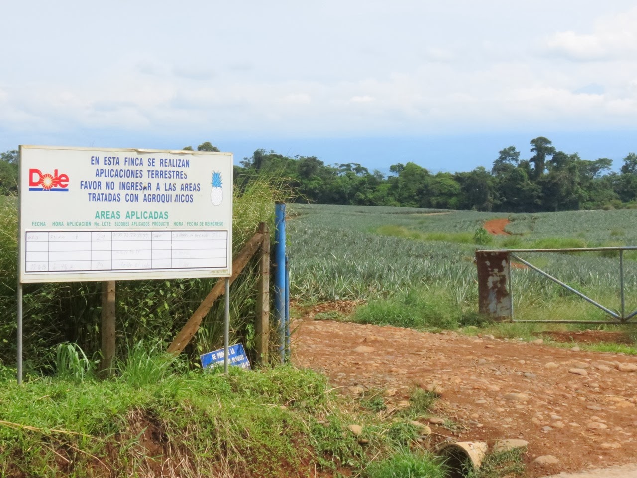 Lista Informativa Nicaragua y más: Costa Rica: Standard Fruit Co. (Dole ...