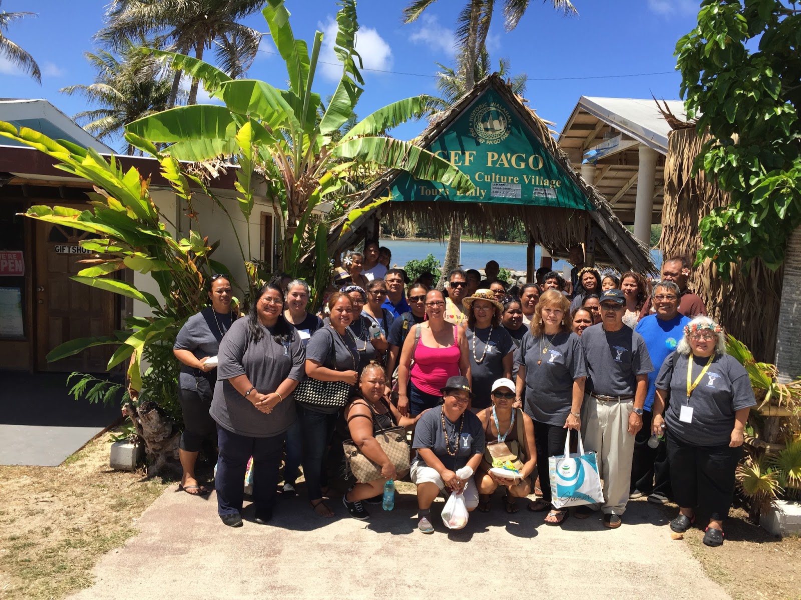 PIBBA INTERNATIONAL: 2016