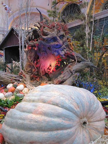 Every Day Is Special: June 23 – Anniversary of the Completion of a Tree ...