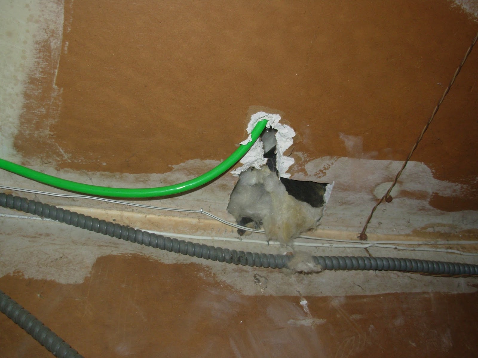 EM Pest Control: November 2015