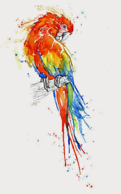 25 Best Bird Drawings For Your Inspiration!