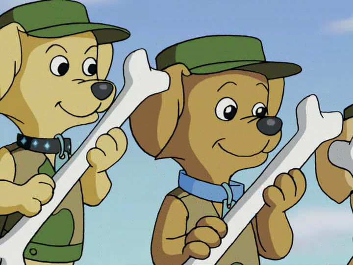 What's New Scooby-Doo: Gold Paw