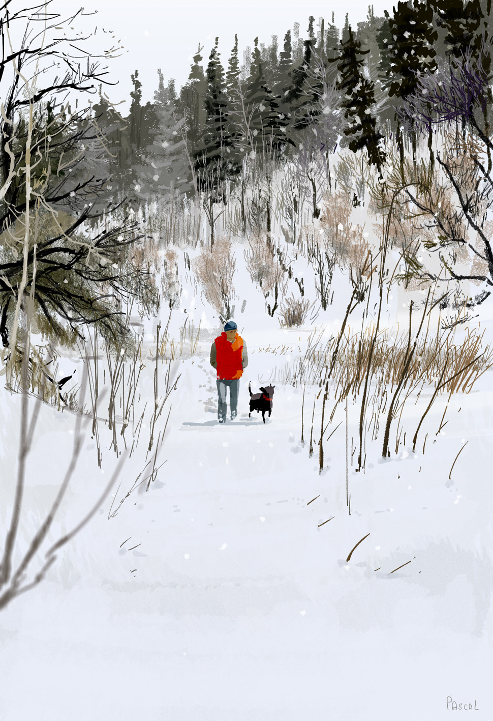 pascal campion: February 2018