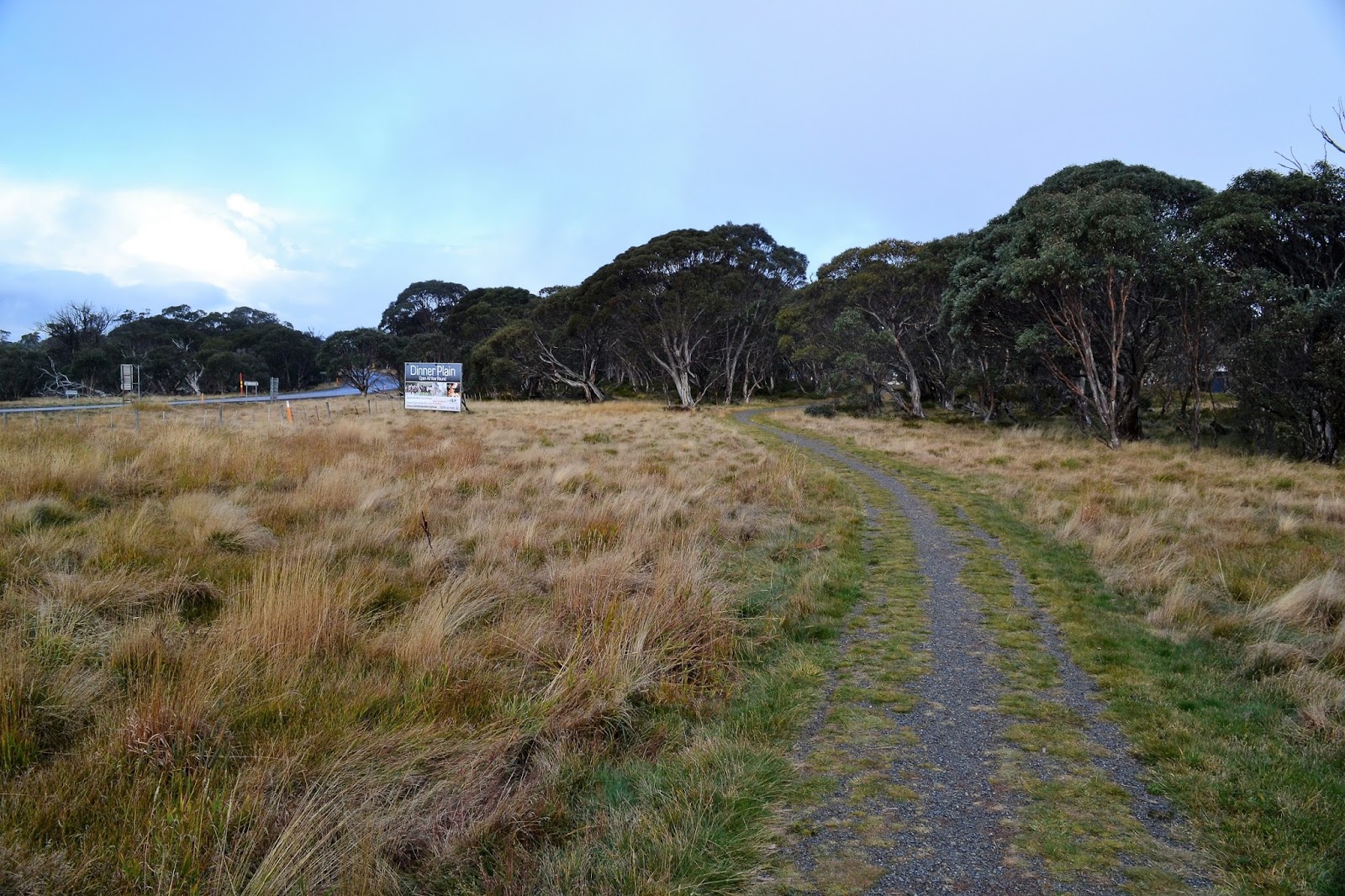 Goin' Feral One Day At A Time: Dinner Plain to Precipice Plain, Alpine ...