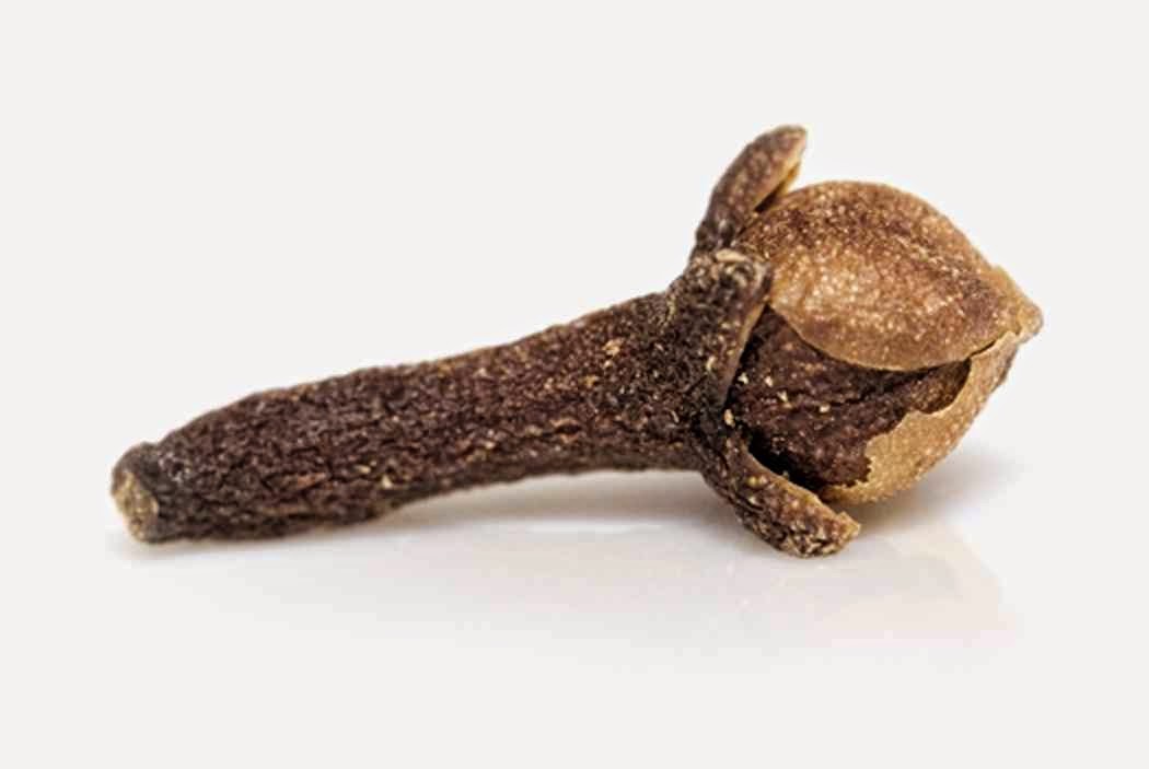 Jiero Wedangan: Mengenal Cengkeh dan Manfaatnya Untuk Minuman # ...