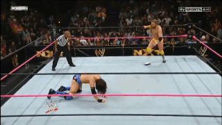 Low Dropkick to the Side of the Head