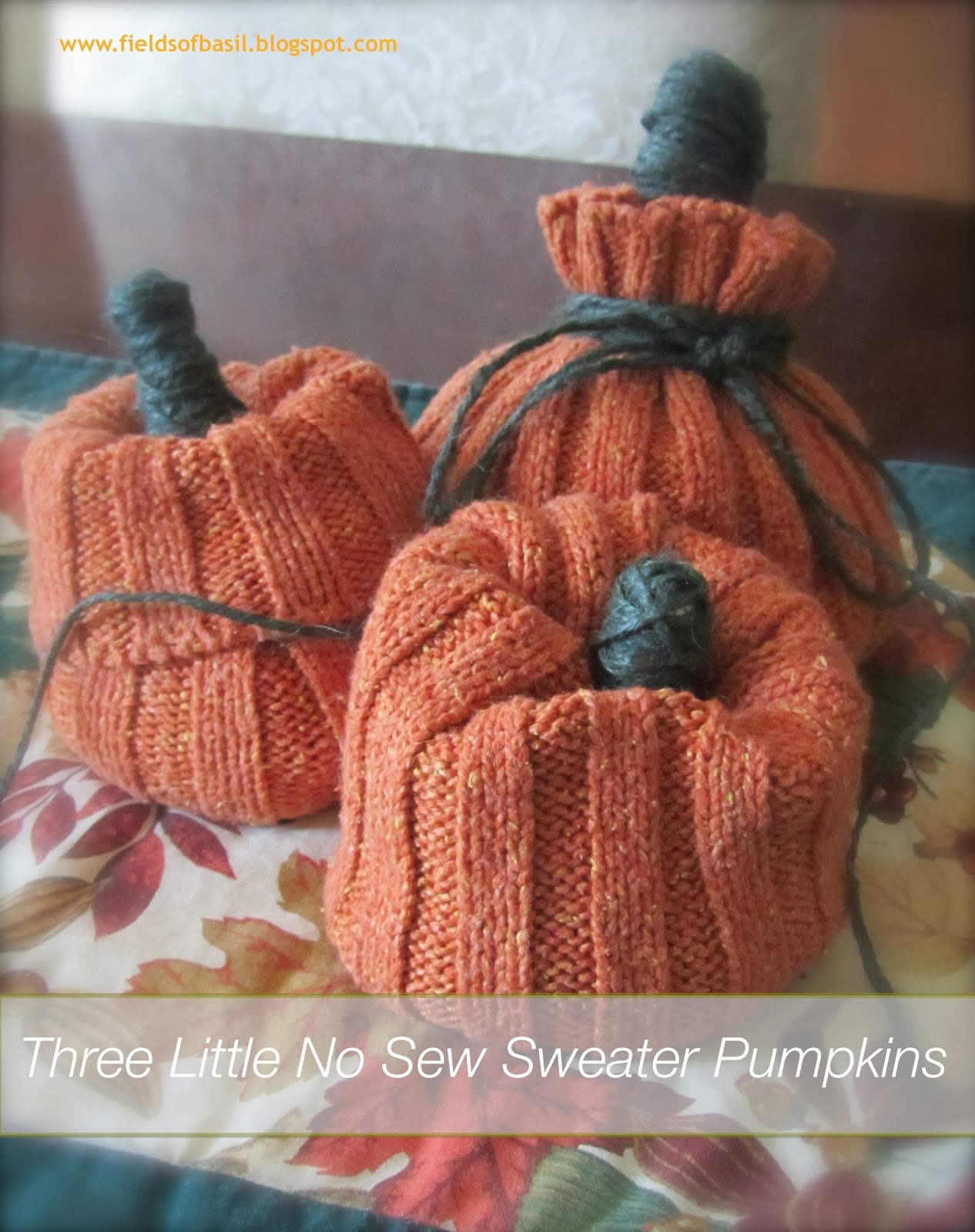 Fields of Basil: Three Little Pumpkins