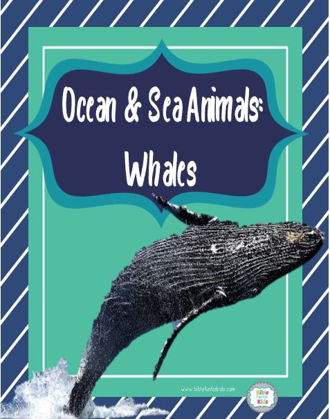 God Makes the Ocean & Sea Animals | Bible Fun For Kids