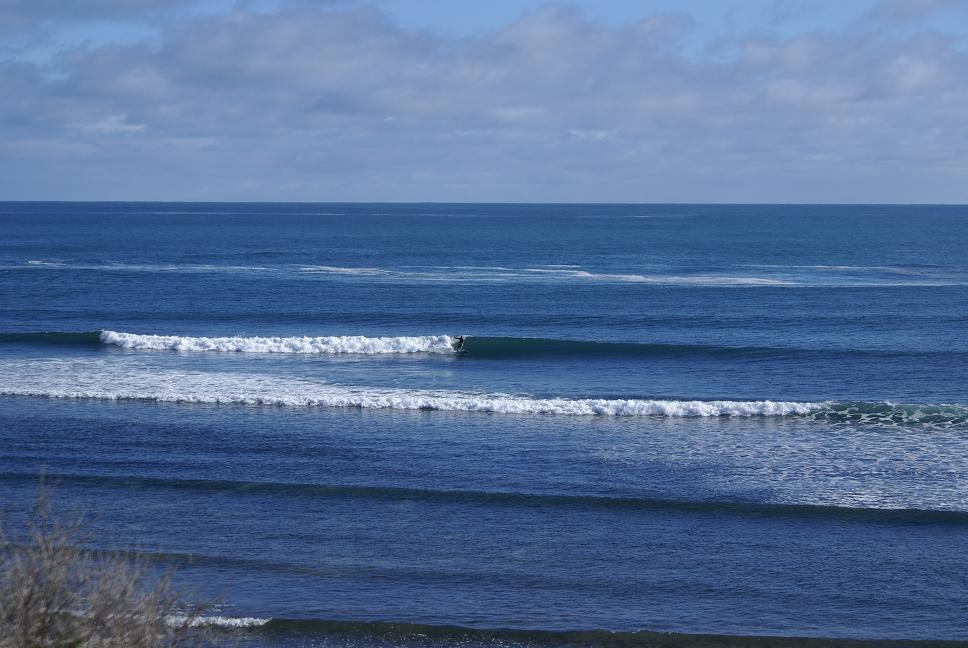 Five Lucky Ducks are travelling Oz: Cactus Beach, Point Sinclair, SA