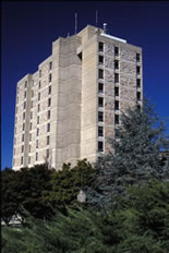 the CAT's meow: slusher tower