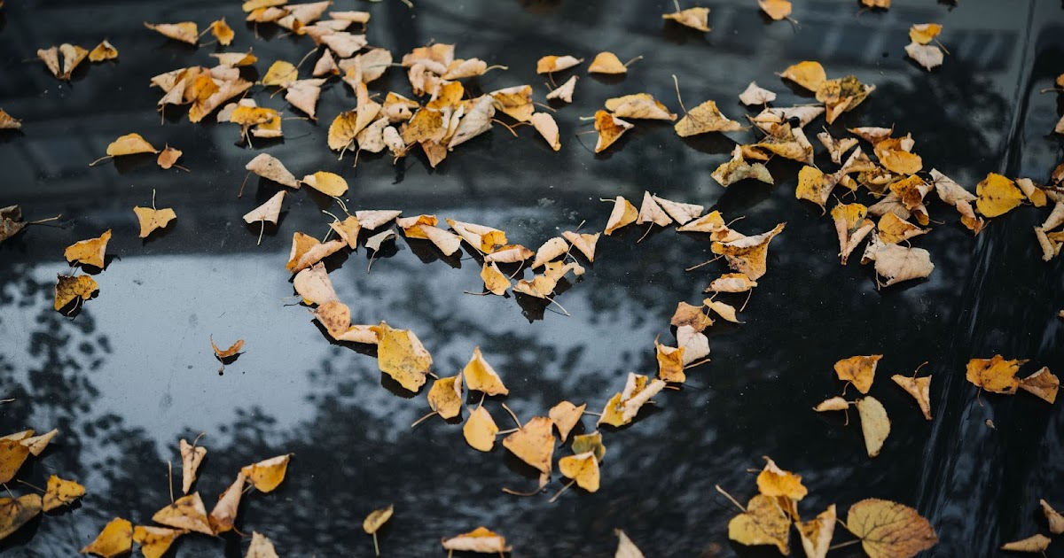 Antara Cinta dan Strata | Coretan Pena Kinara