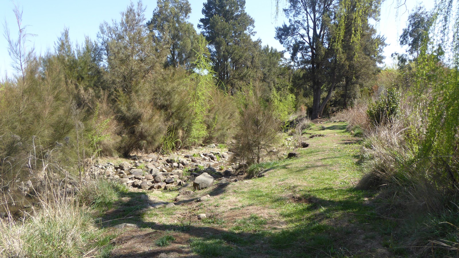 Our Aussie off grid heaven: A Visit To Historic Nundle.