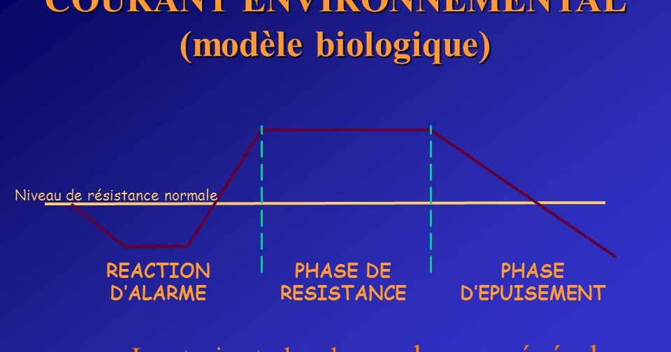LE STRESS SELON Hans Selye
