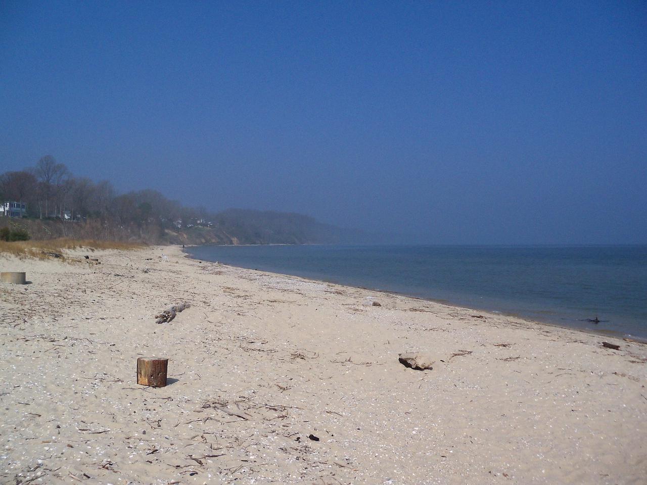 A View from the Beach: St. Patrick's Day at the Beach