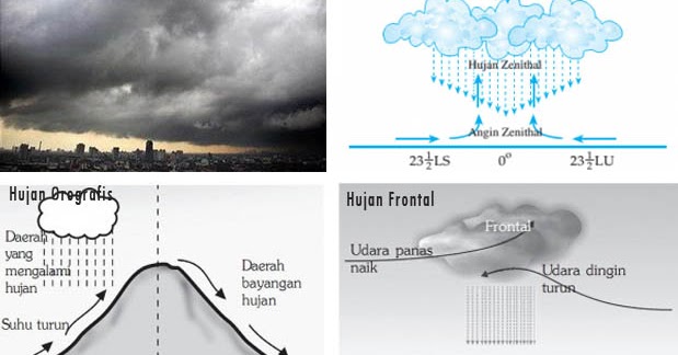 Types of Rain, Definition, and Pictures | Domain Biologi