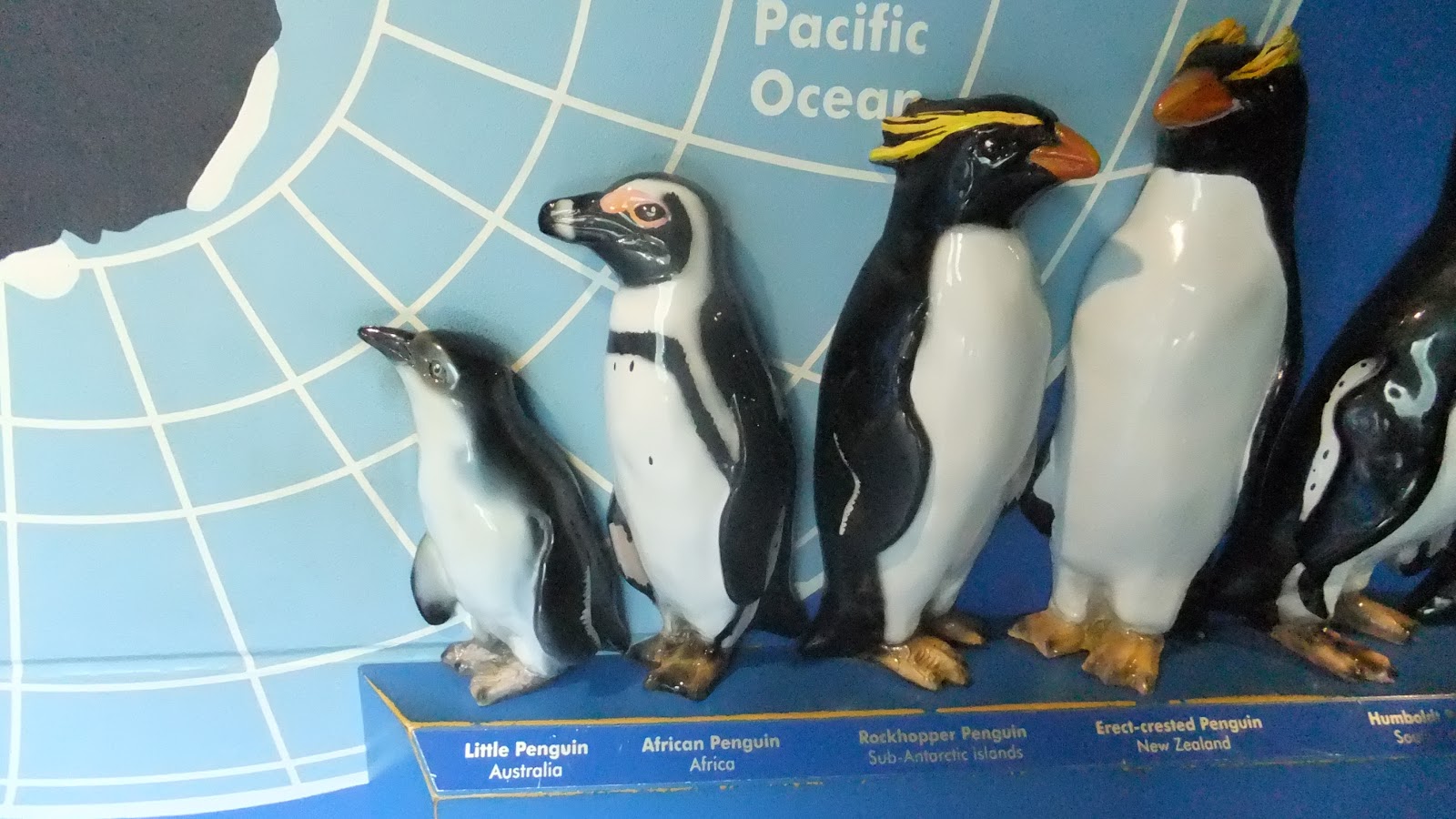 Justina-Overseas: Taronga Zoologijos Sodas Sidnėjus